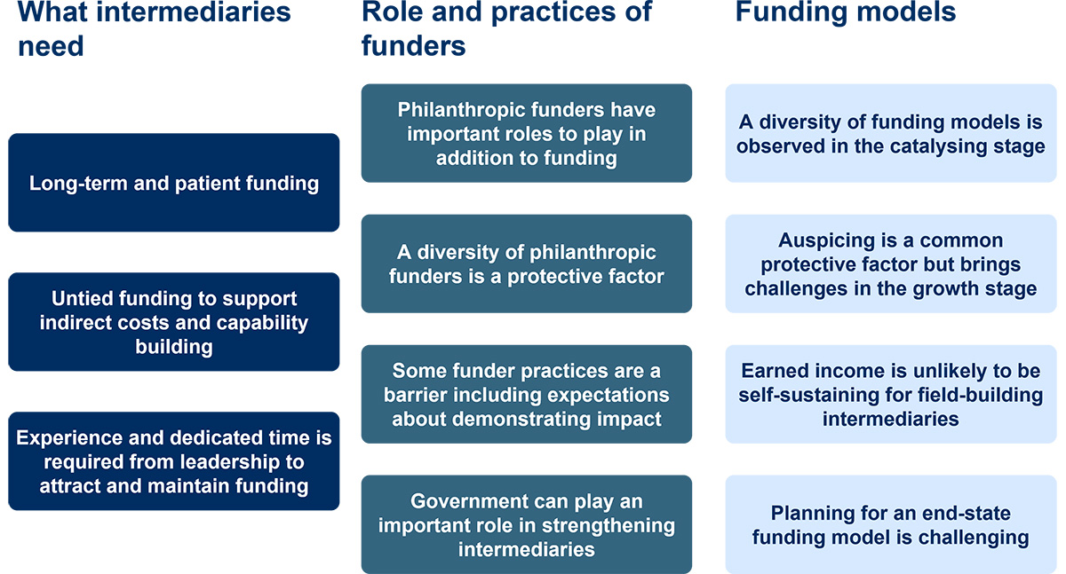 Social sector intermediaries: what are they and what do they need ...